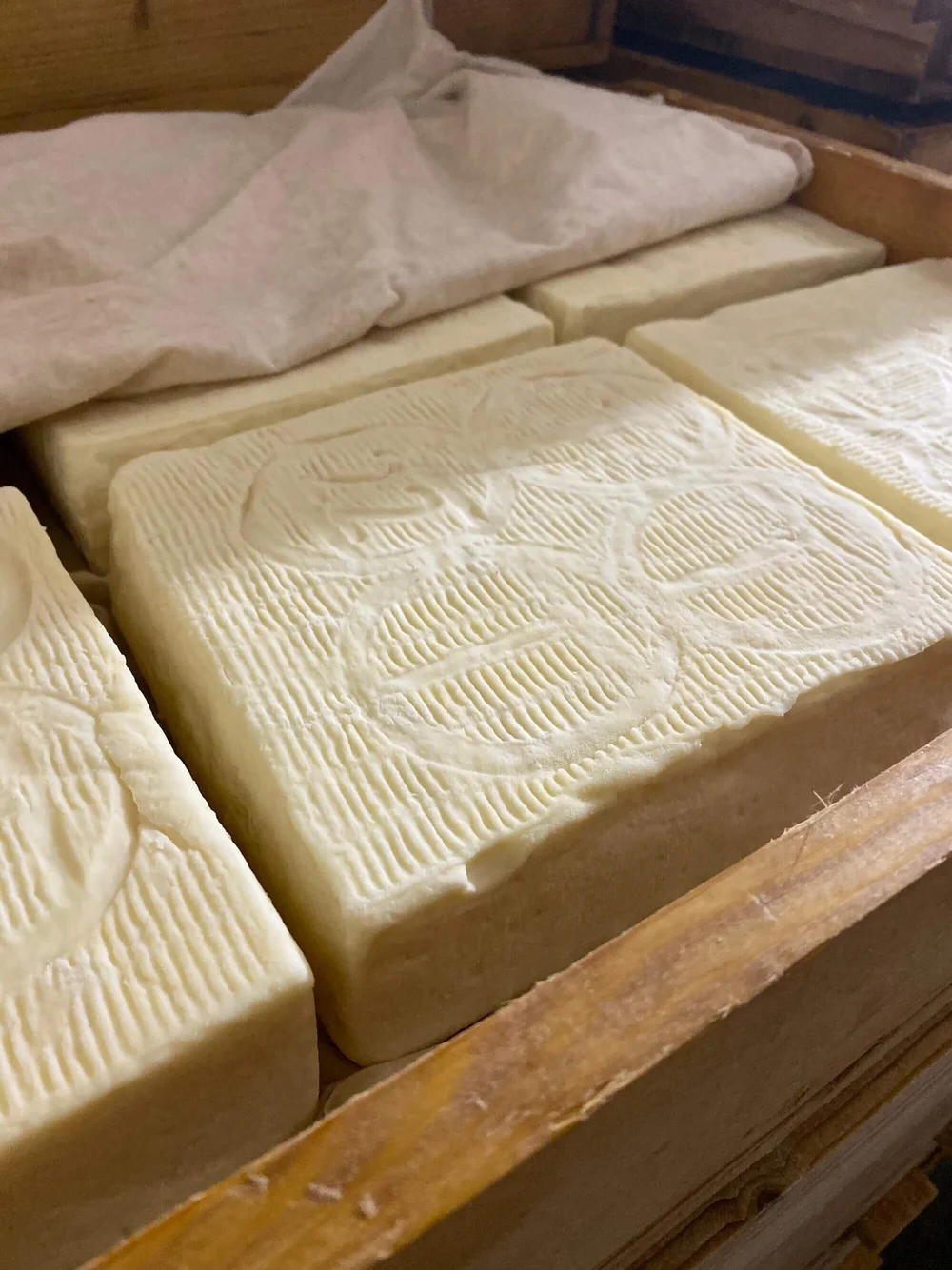 Why Are We Celebrating Raw Milk Cheese? | The Cheese Professor