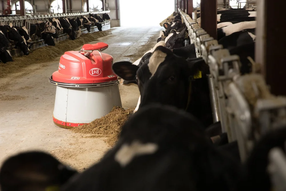 How Robots are Improving Life for Dairy Cows and Farmers | The Cheese ...