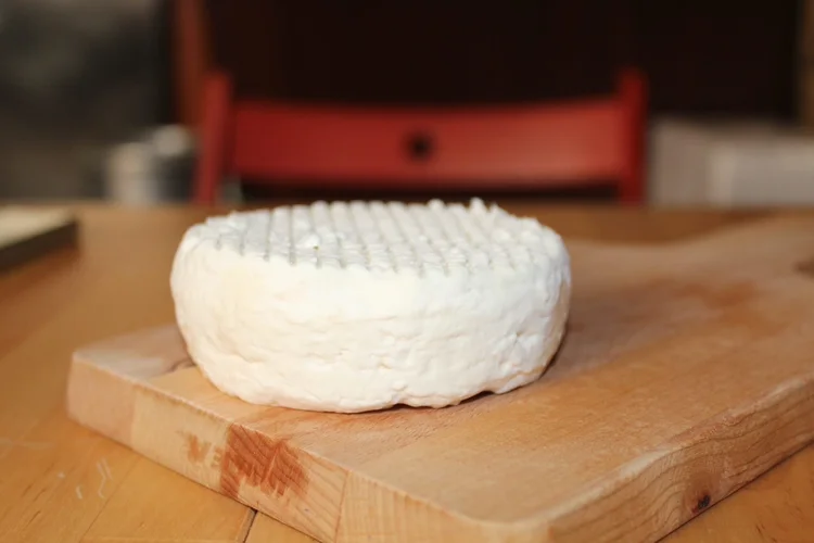 Discover the Cheeses that Pair Beautifully with Port | The Cheese Professor