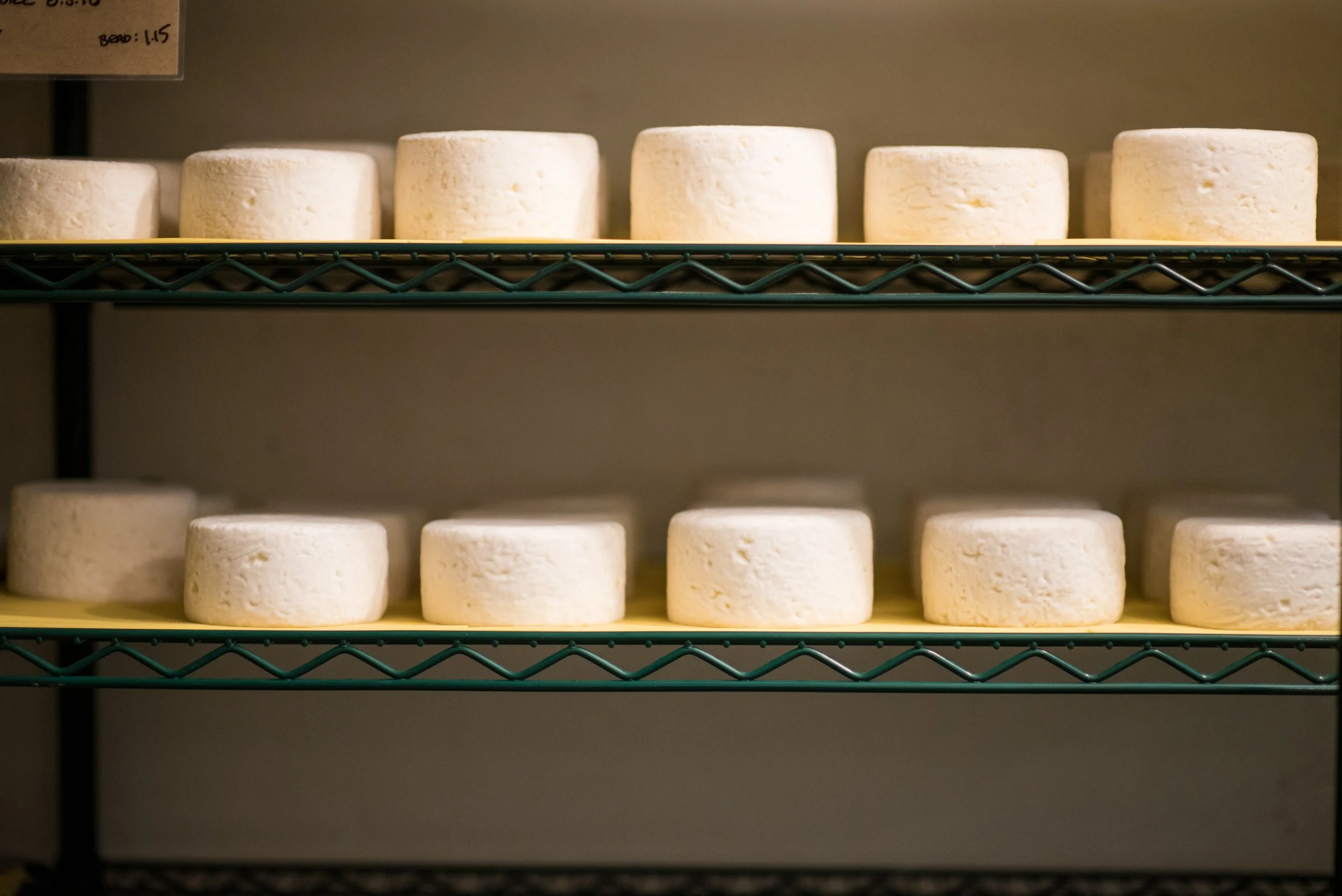 How Cheeses are Revived, Transformed & Created in the Caves at Caputo's ...