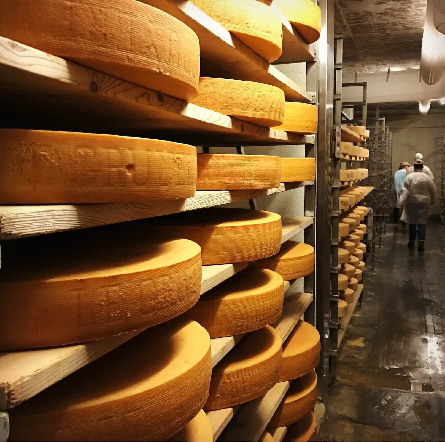 7 Swiss Cheeses You Should Know | The Cheese Professor