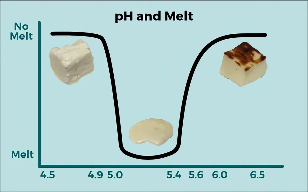 What Makes Cheese Stretchy? | The Cheese Professor