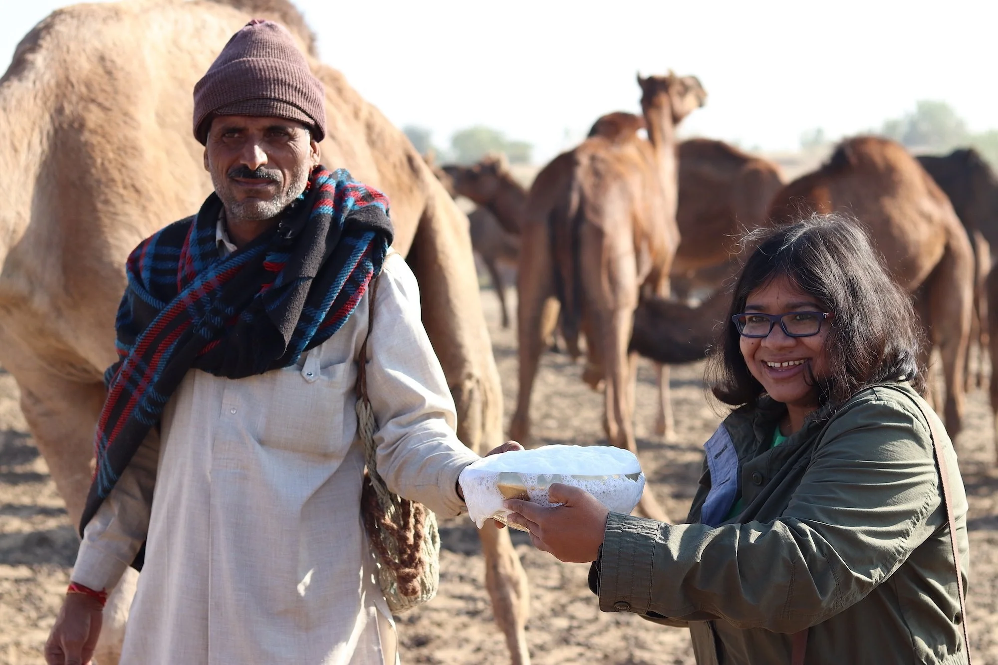 5 Indian Cheeses You Should Know | The Cheese Professor