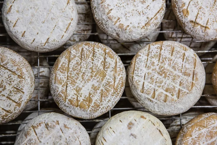 Affinage 101: Understanding the Aging of Cheese | The Cheese Professor