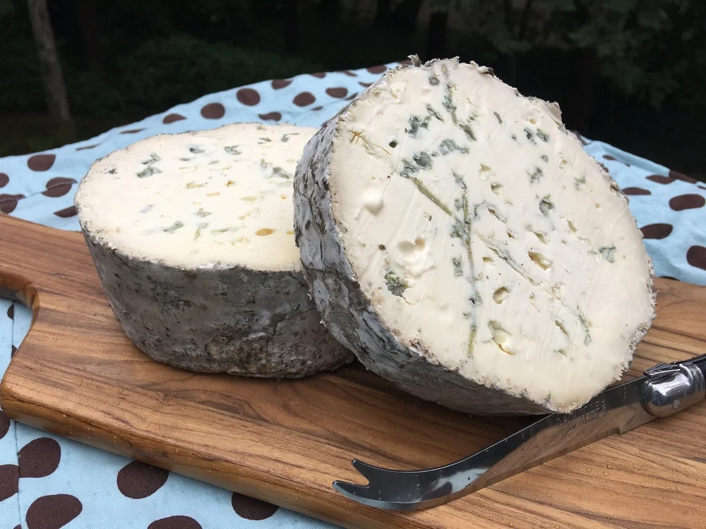 The Best French Blue Cheeses | The Cheese Professor