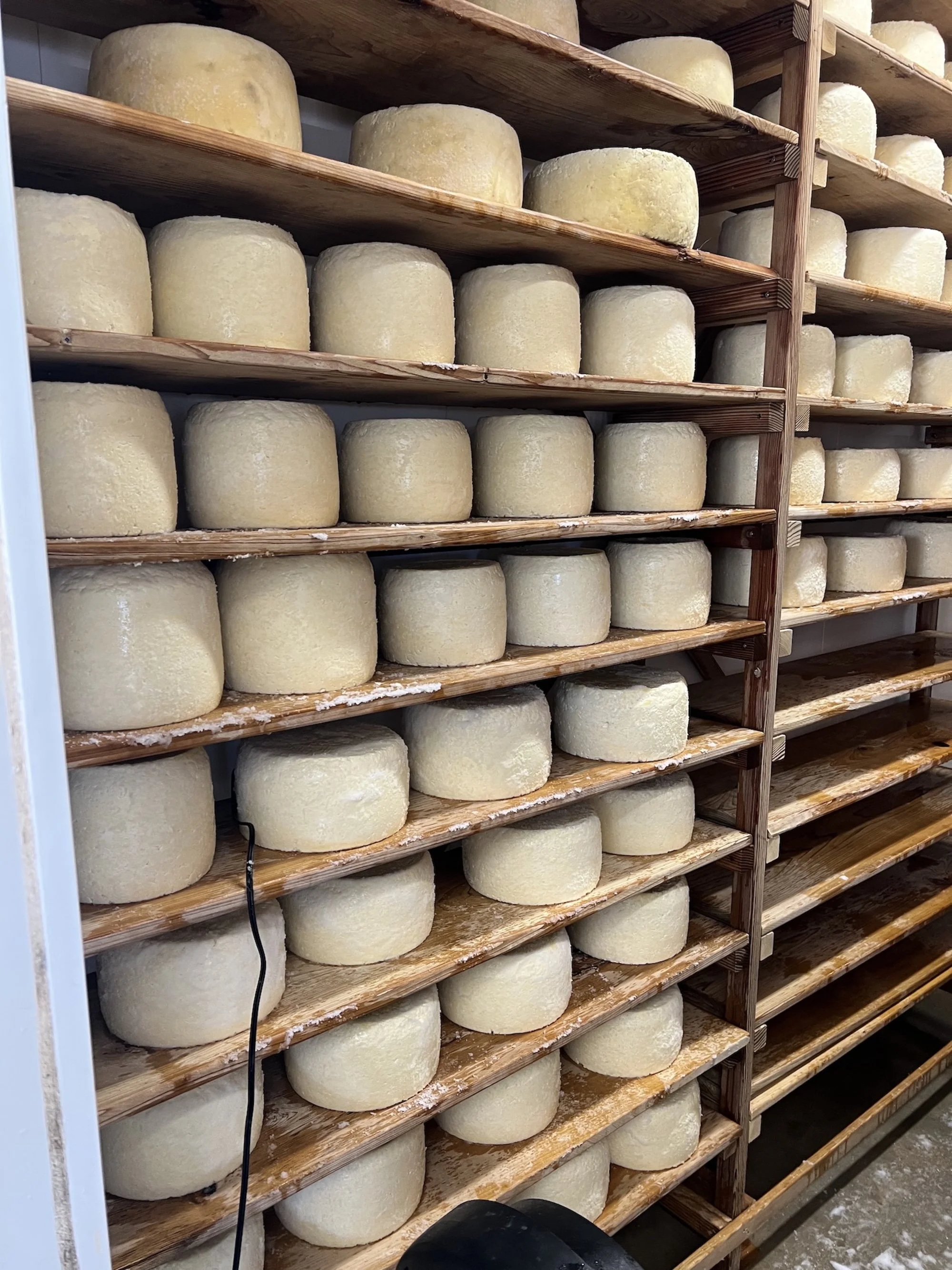 From Pasture to Plate: A Visit to Pacheco Family Ranch | The Cheese ...