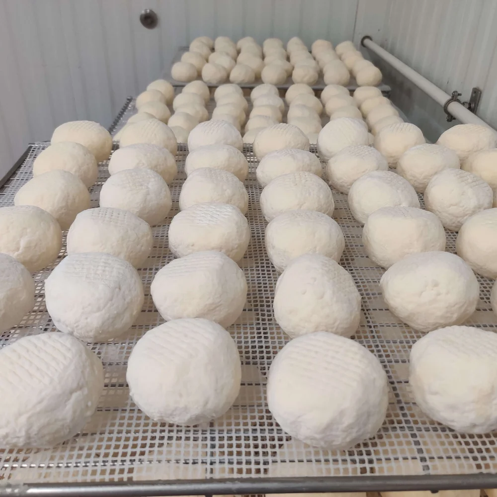 Why You Will Fall in Love with American Artisan Cheese Apricity | The ...