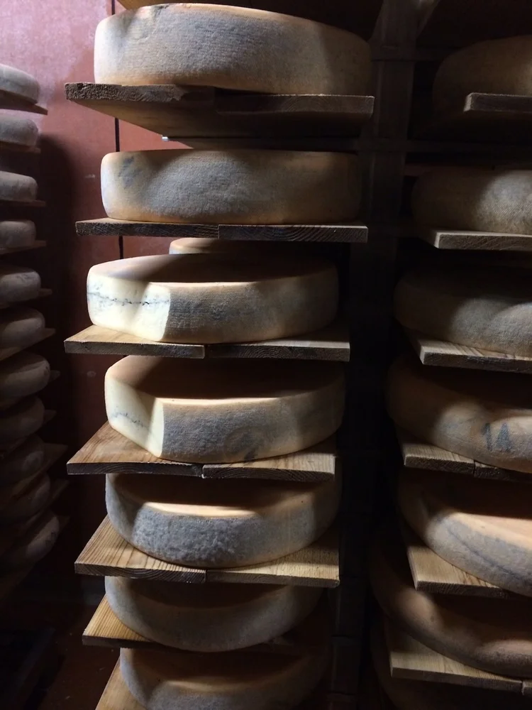 Why Are Cheeses Made with Ash? | The Cheese Professor