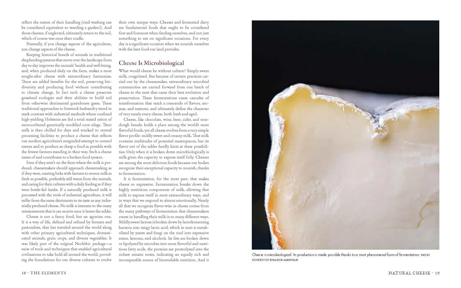 Book Review: David Asher's Milk Into Cheese | The Cheese Professor
