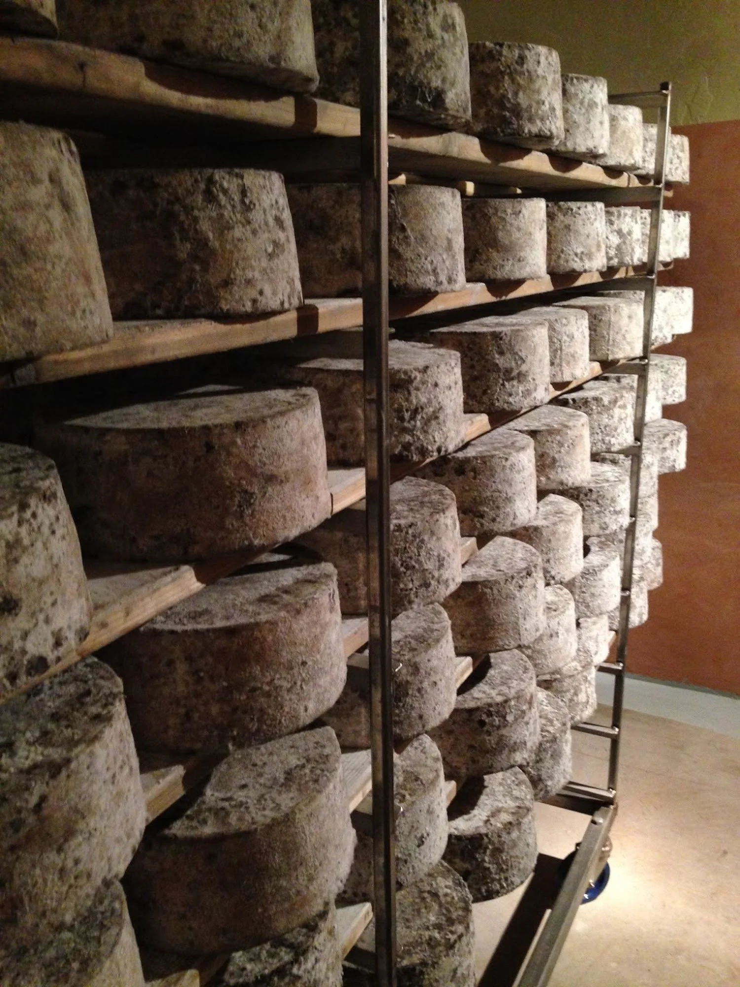 Cheese Profiles: Bleu Mont Dairy Bandaged Cheddar | The Cheese Professor