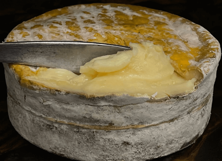 6 Best Cheeses for Philly Cheesesteaks (That Aren’t Cheese Whiz) | The ...