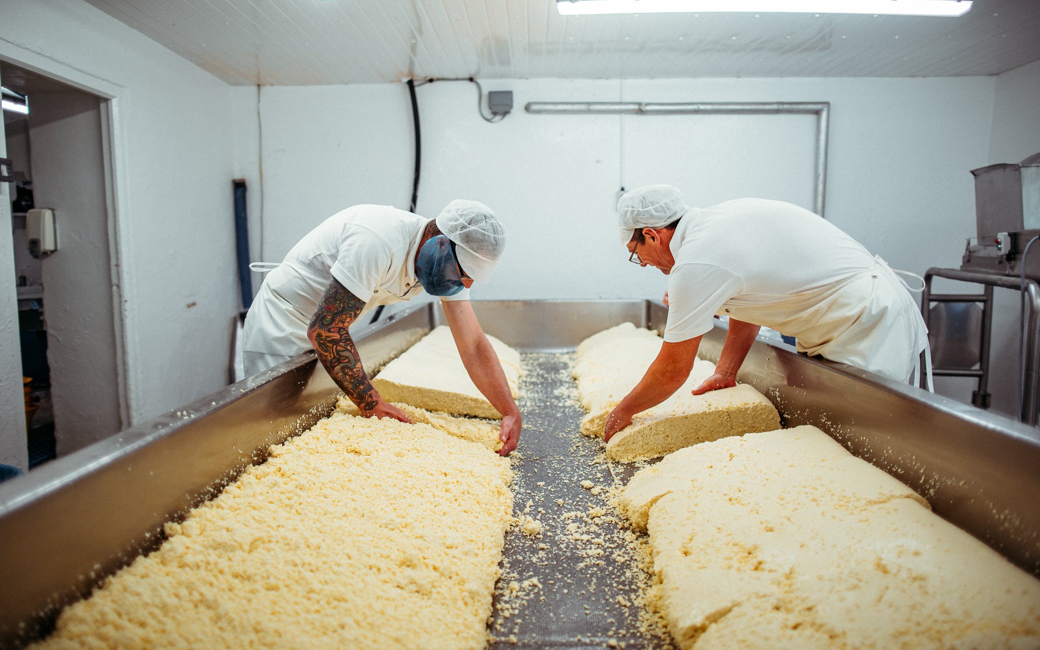 Meet Three Artisanal Somerset Cheddar Cheesemakers | The Cheese Professor