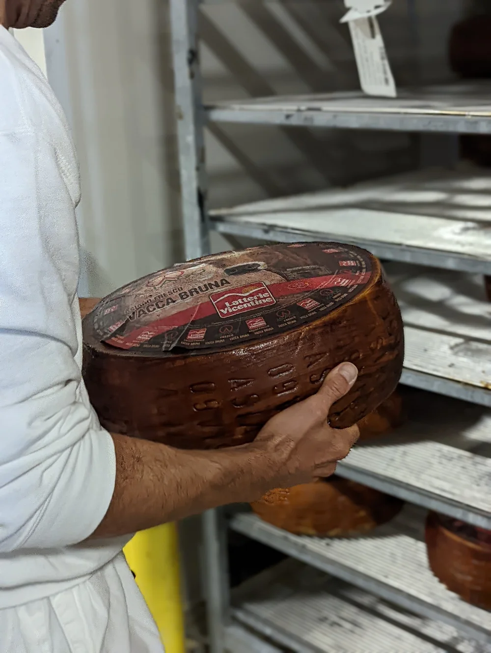 Why Asiago DOP from Italy is More than a Cheese for Bagels | The Cheese ...