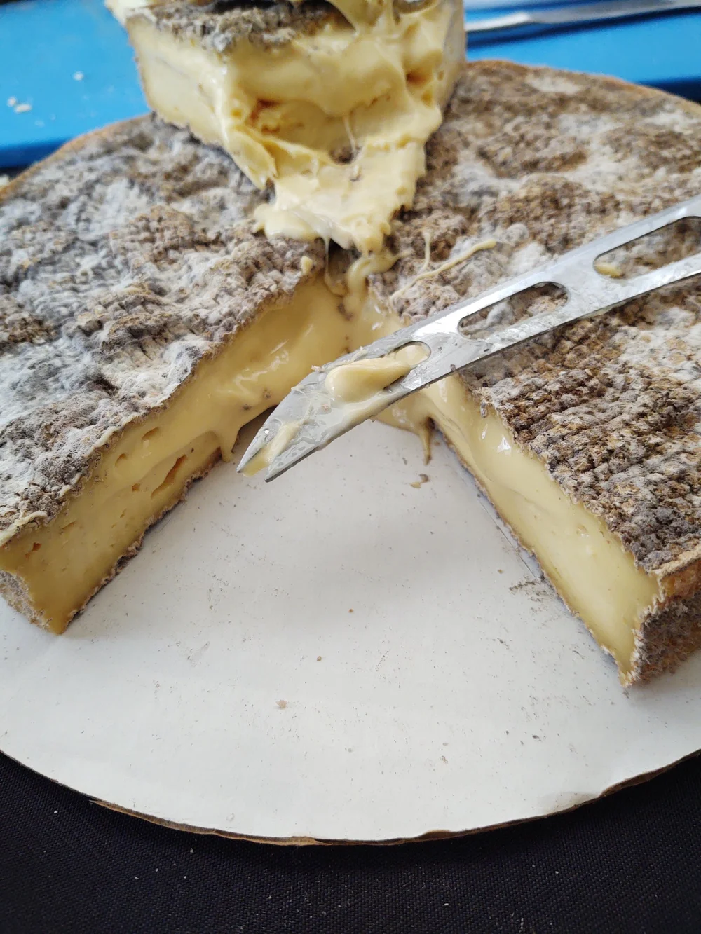 Bobolink Dairy: A Rural New Jersey Dairy Farm Making Outstanding Cheese ...