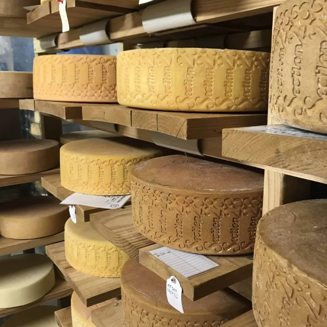 7 Australian Cheeses You Should Know | The Cheese Professor