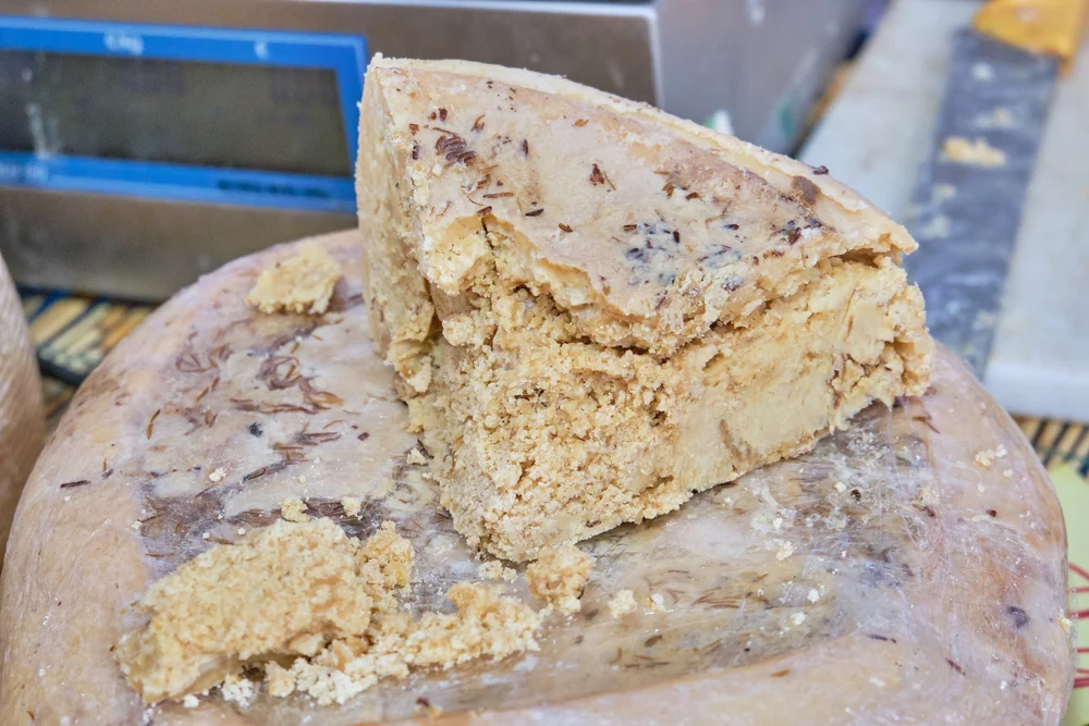 Casu Marzu, the Illicit Cheese of Sardinia | The Cheese Professor