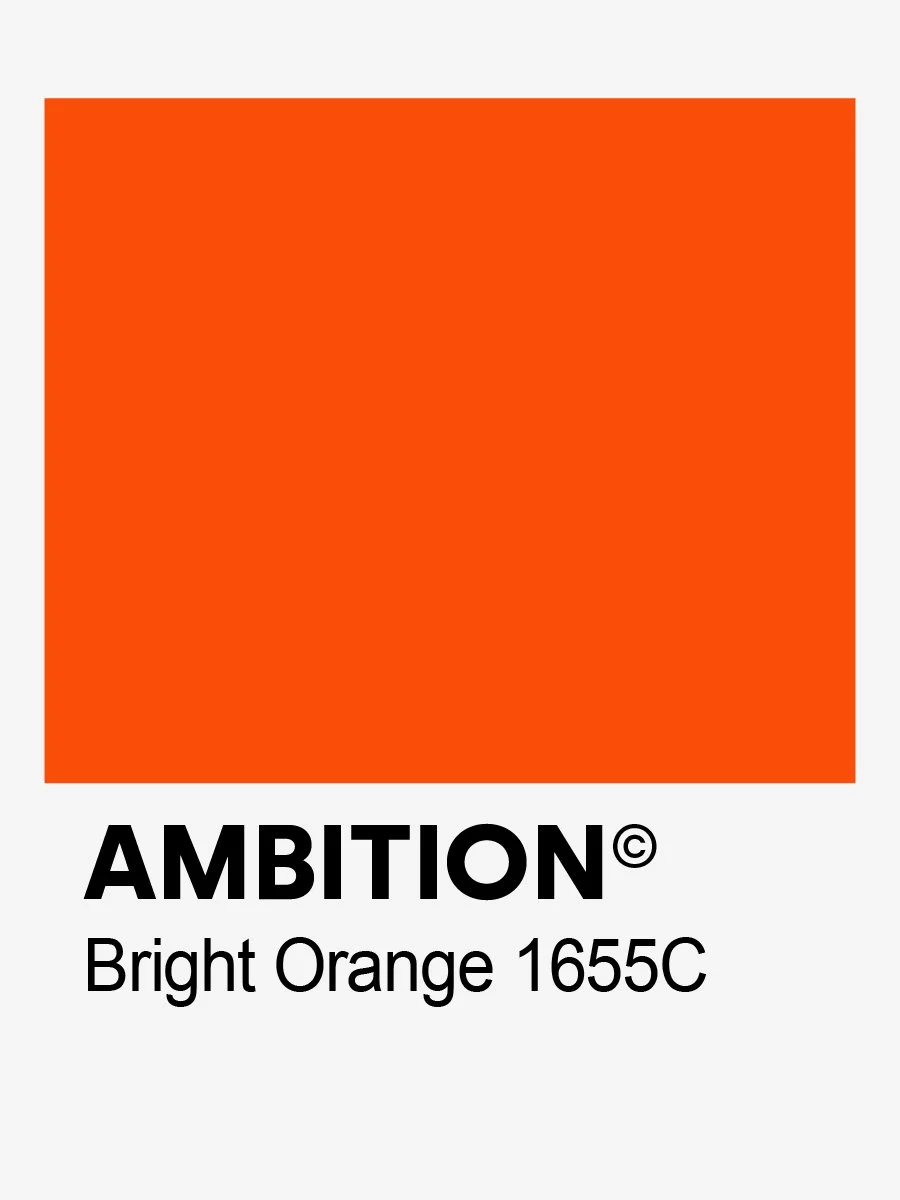 Neon Orange Pantone