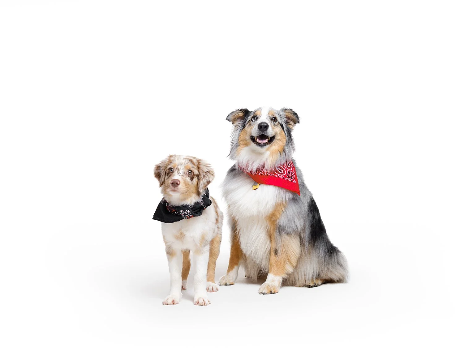 The Best Roofers in Tulsa and Oklahoma City | Elliott Roofing