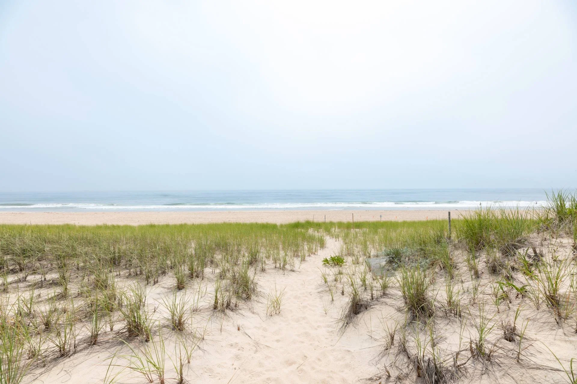 An Insider’s Guide to Amagansett — Fenimore Lane