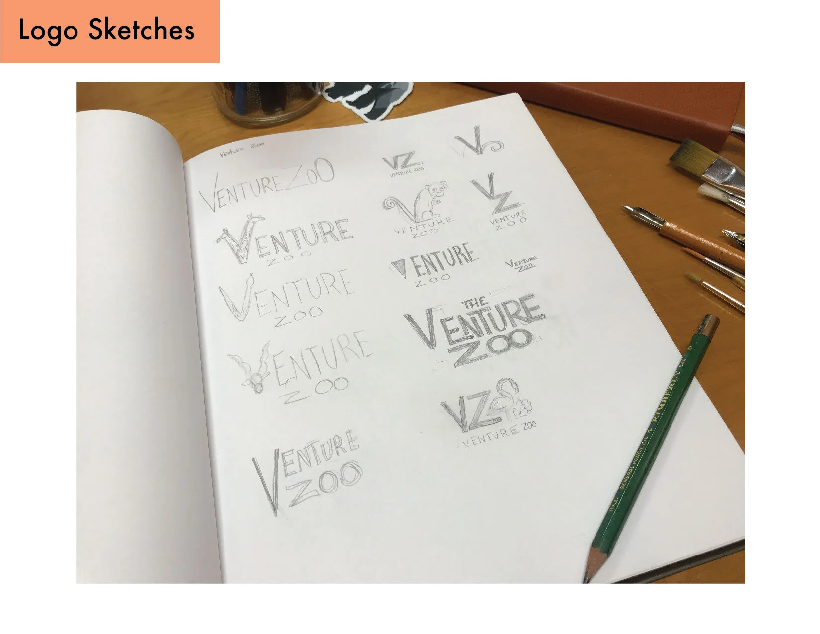 The Venture Zoo — David Basye Design