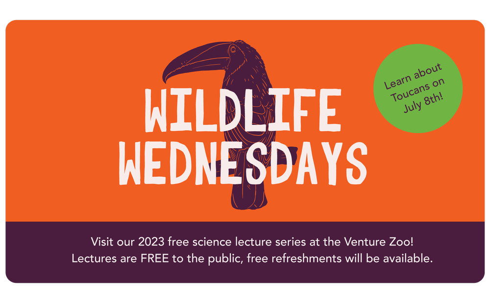 The Venture Zoo — David Basye Design