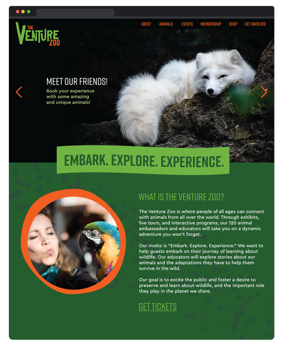 The Venture Zoo — David Basye Design