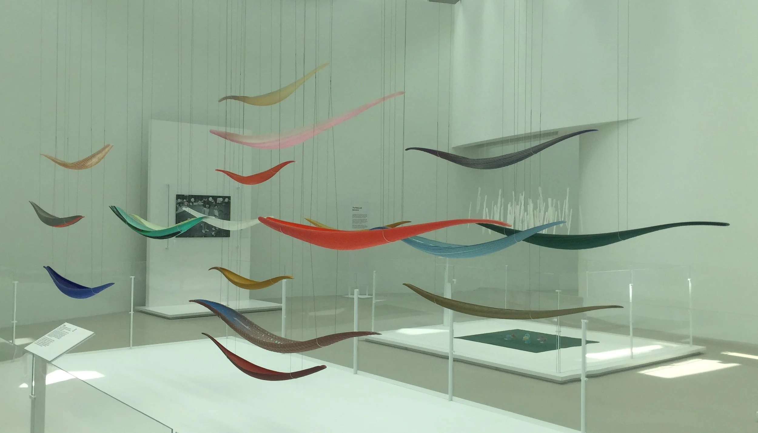 Rabbi Lisa Goldstein: A Spring & A Tree