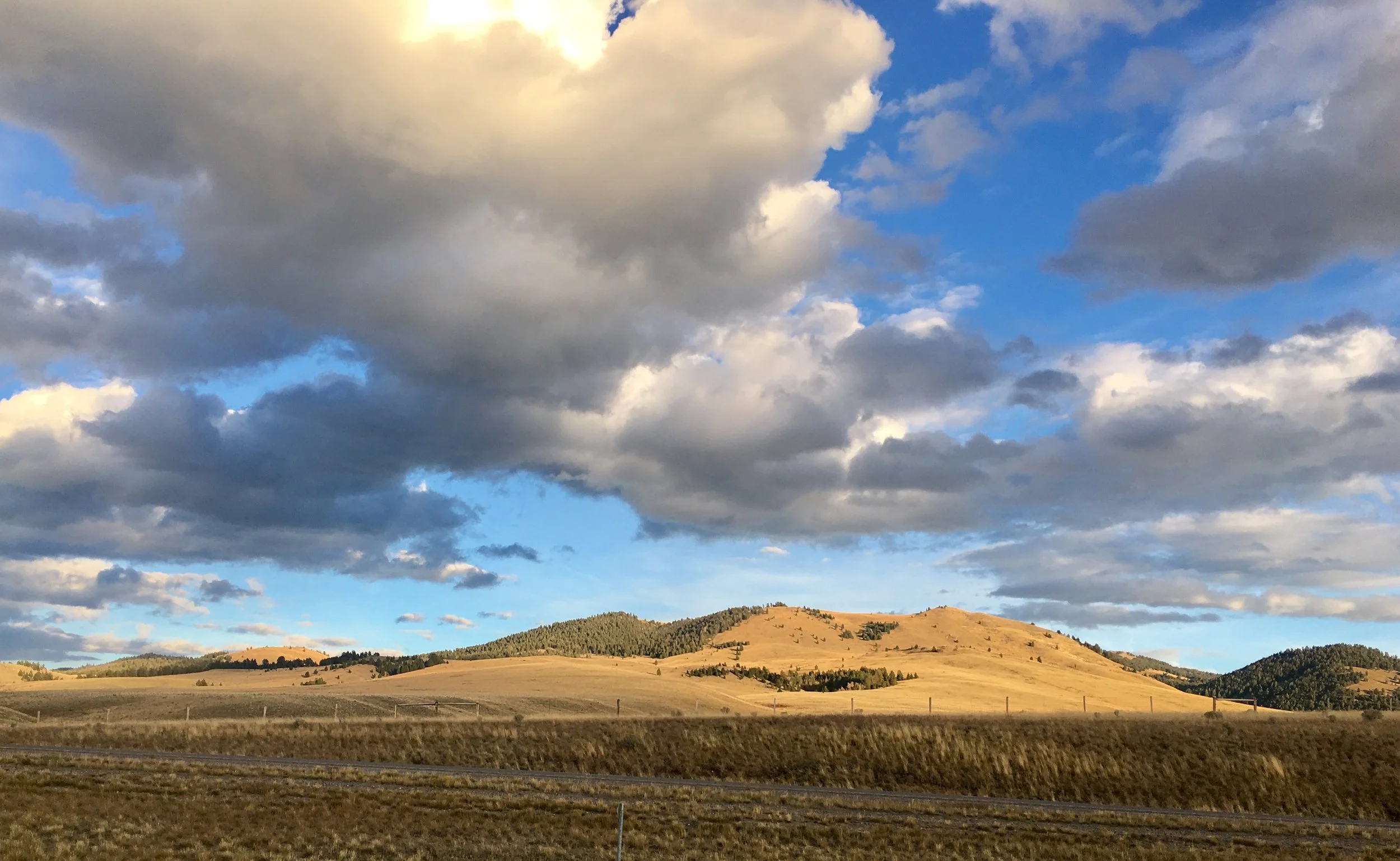 The Legacy of the Big Hole Battlefield — Big Hole River Foundation