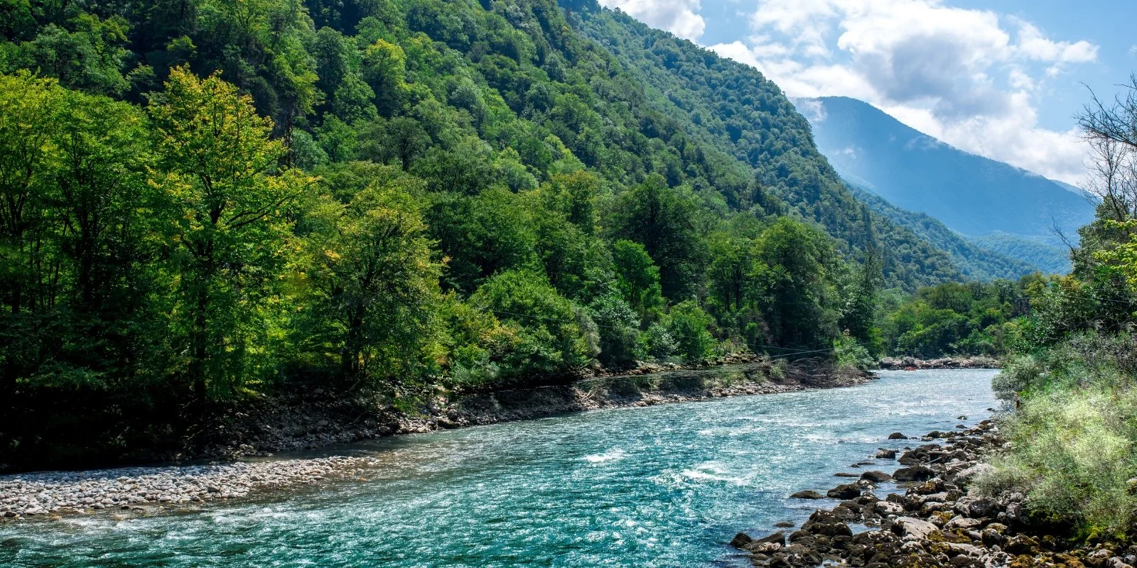 The Importance of Clean Rivers: Sustaining Life and the Environment ...