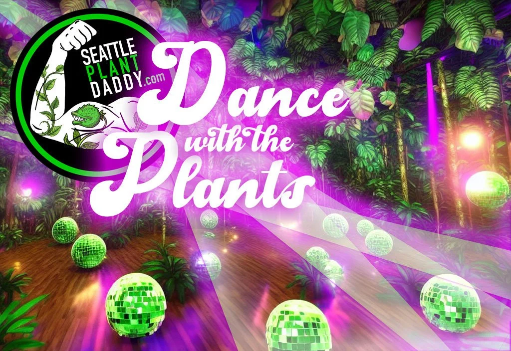 Store 2 — Seattle Plant Daddy
