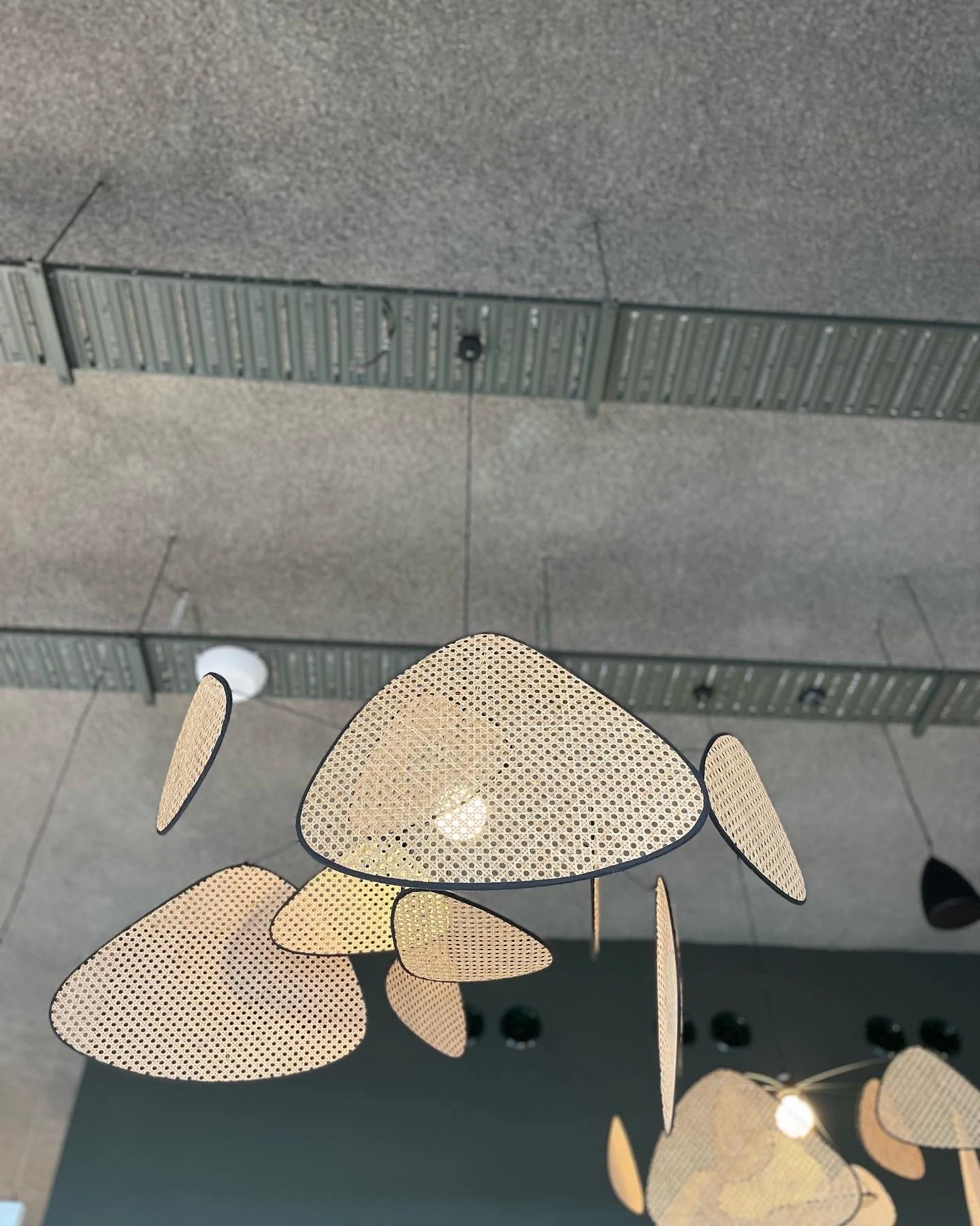 Subiaco Continental — Kate Archibald