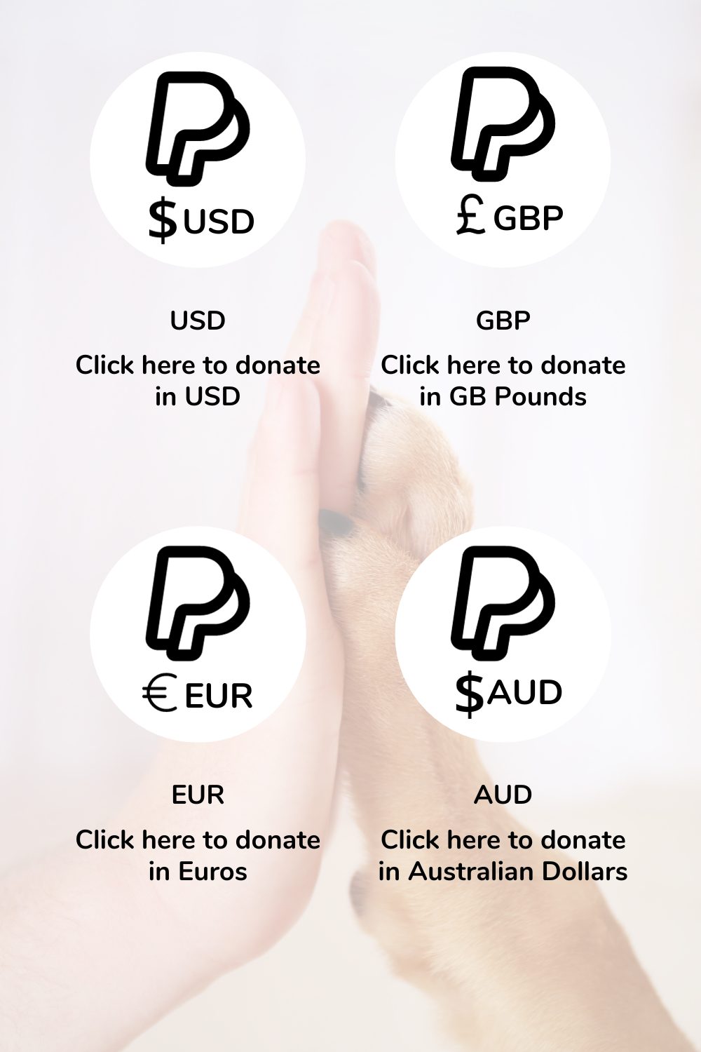 Donate to Laws For Paws Vietnam - Join us in saving lives, one paw at a ...