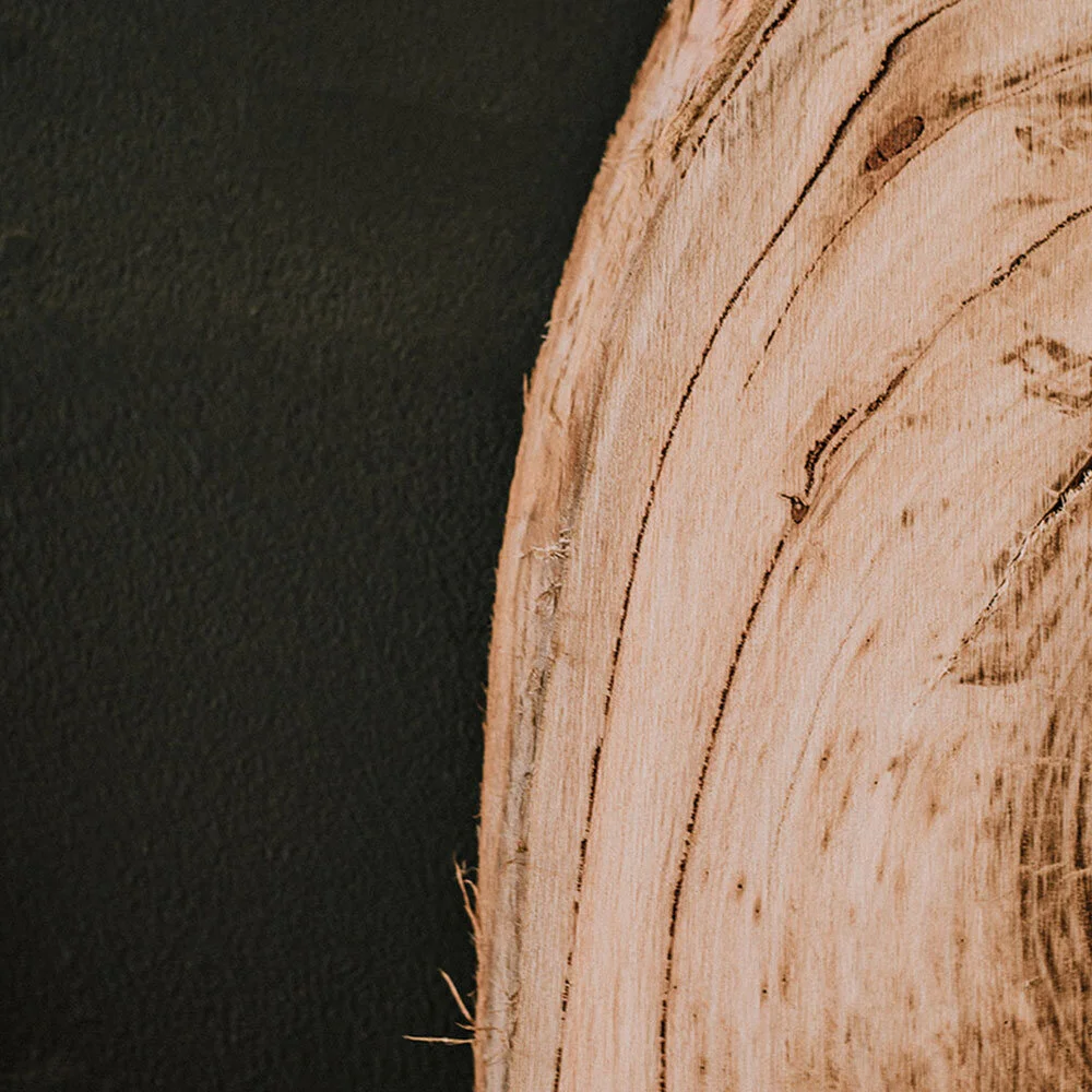 How to Finish a Timber Slab — The Wood Project