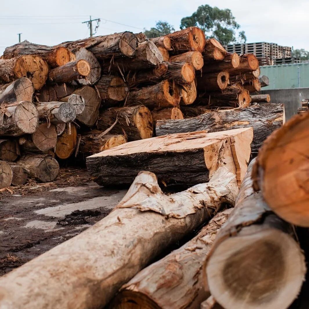 Timber Products — The Wood Project