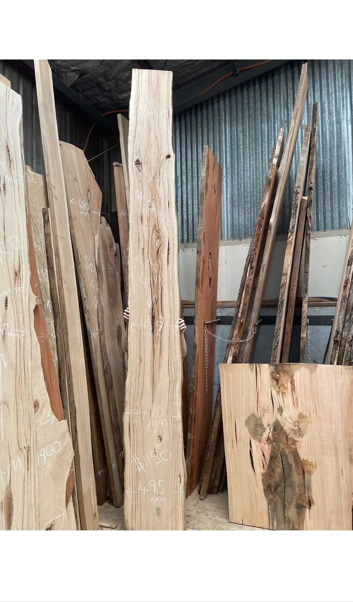 Shop Timber Slabs — The Wood Project