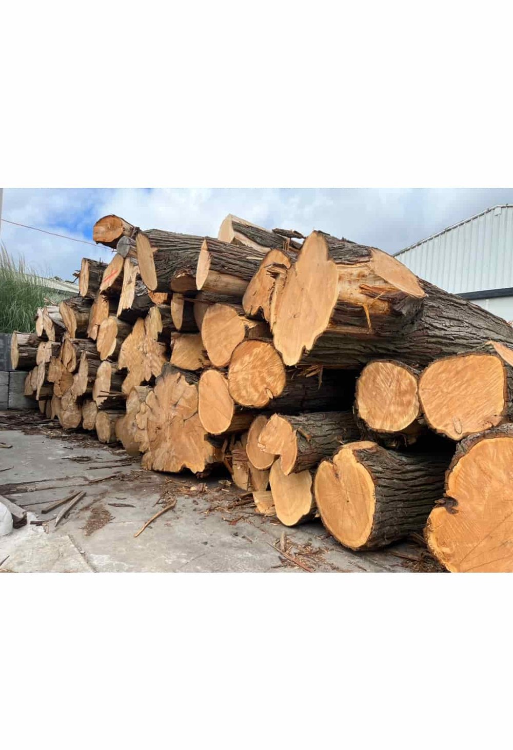 Cypress Cut to Order — The Wood Project