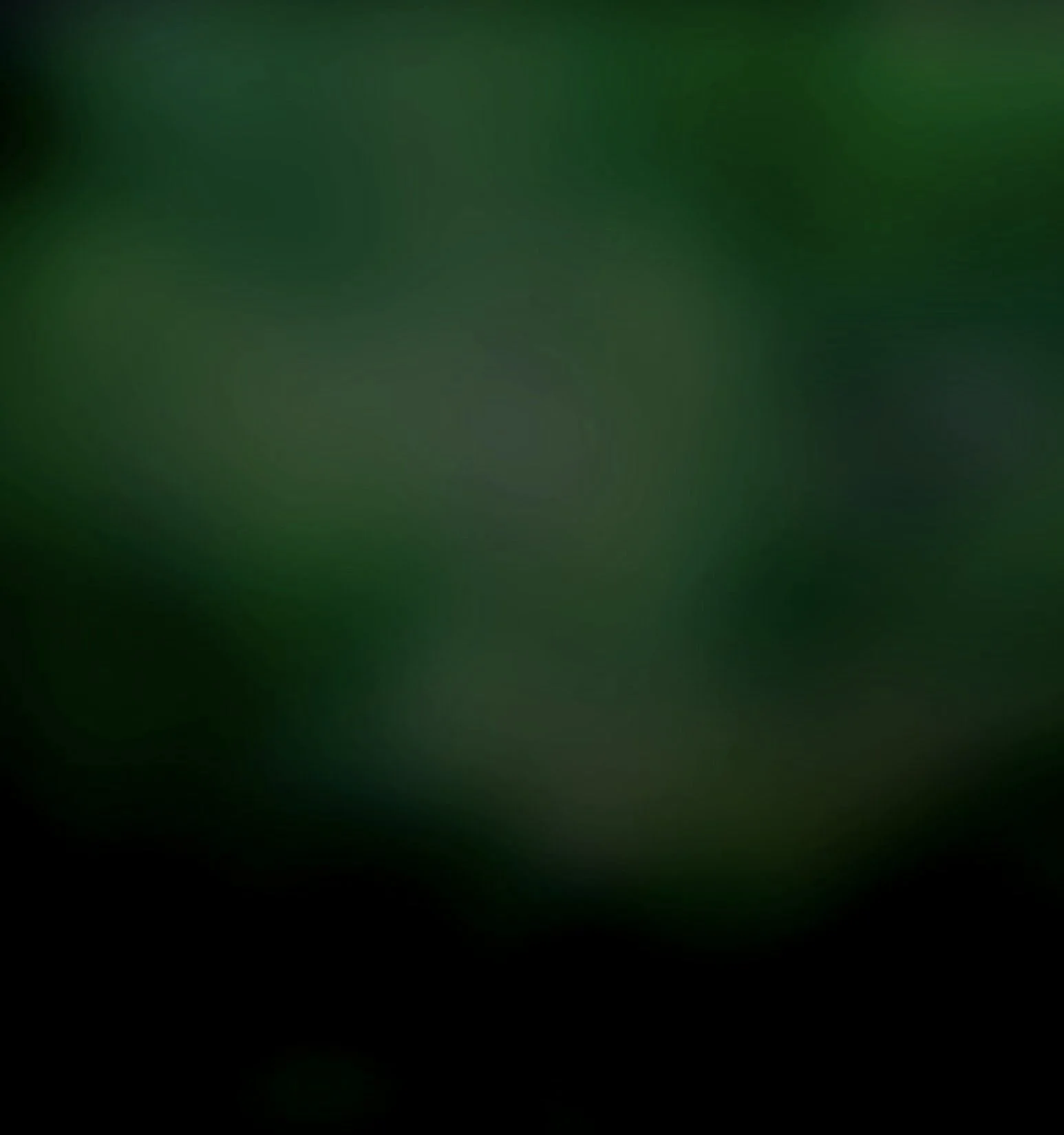 ABOUT — Nick Wales