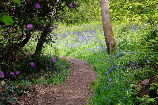6 Great Colchester Walks — Local Walks
