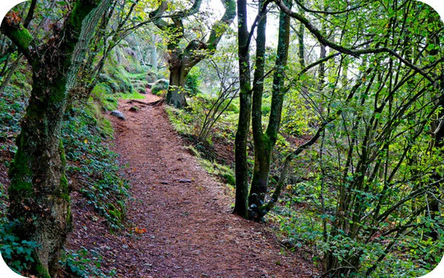 Kinver Edge Walk and Route Map — Local Walks