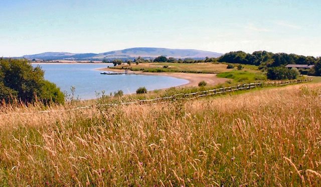 Ashdown Forest Walks and Map — Local Walks