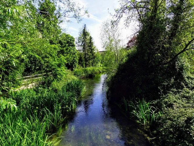 Birdlip Viewpoint Walk and Map — Local Walks
