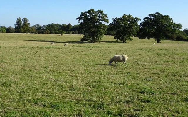 5 Great Walks Near Chippenham — Local Walks