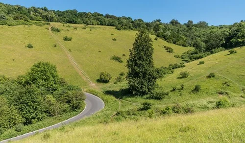 Box Hill Walks and Map — Local Walks