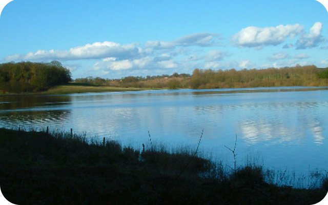 Blithfield Reservoir Walk and Map — Local Walks