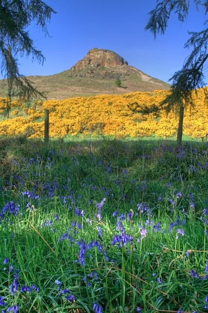 Roseberry Topping Walk - Local Walks — Local Walks