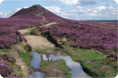 Win Hill Circular Walk and Route Map — Local Walks