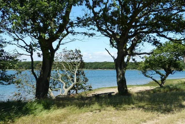 Top 5 Chichester Circular Walks and Map — Local Walks