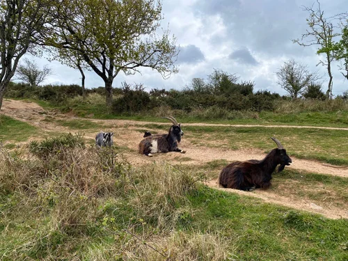 Cheddar Gorge Walk and Route Map — Local Walks