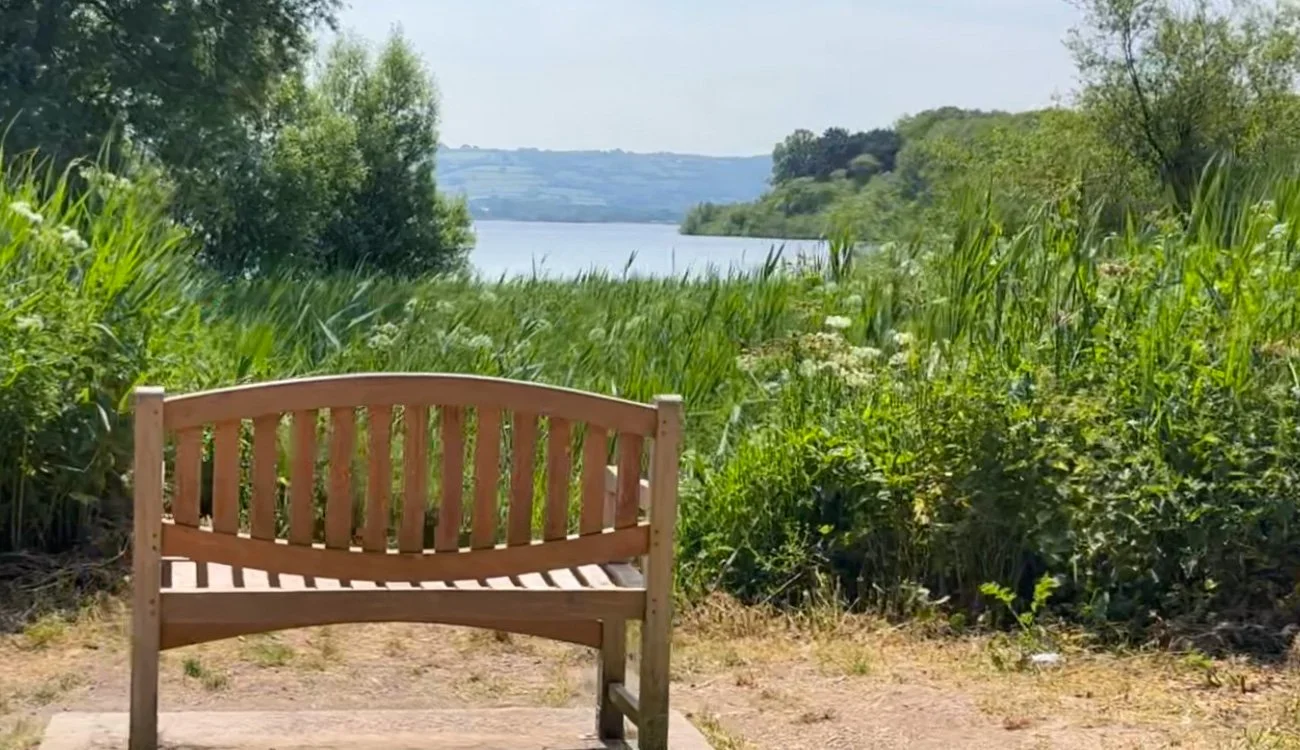 Chew Valley Lake Walks — Local Walks