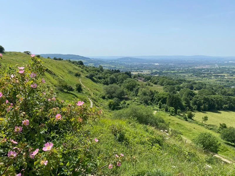 Cheltenham Walks and Route Maps — Local Walks